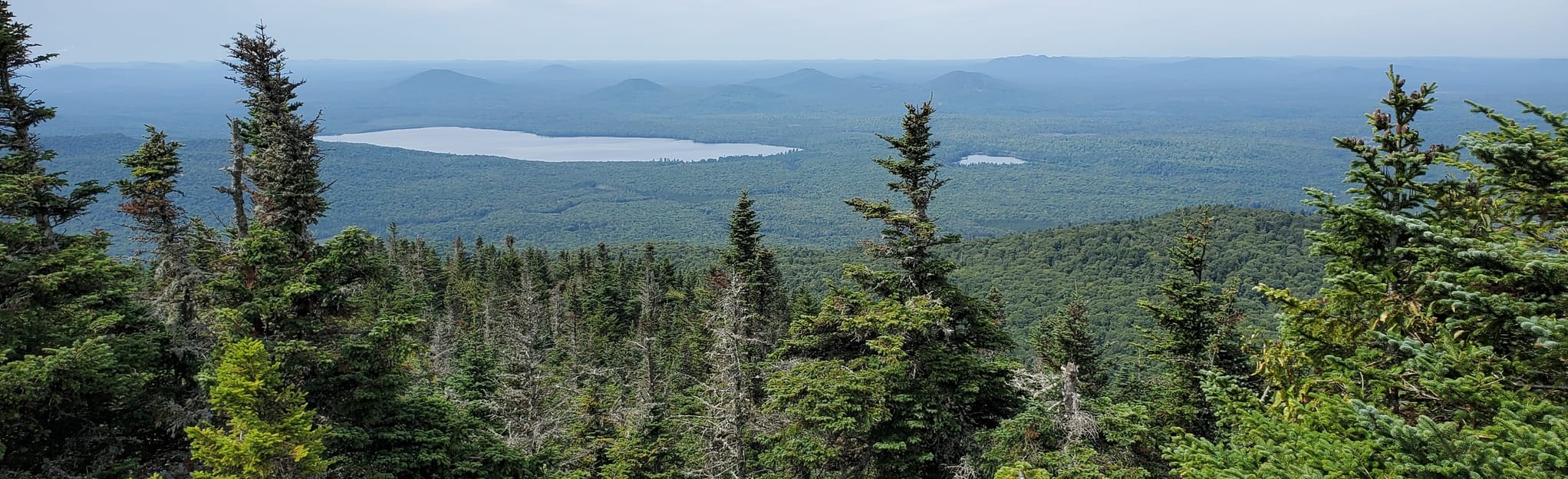 Debar Mountain Trail: 135 Reviews, Map - New York | AllTrails