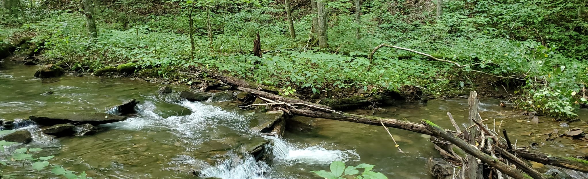Mountain Fork to High Knob Recreation Area via Chief Benge Scout Trail ...