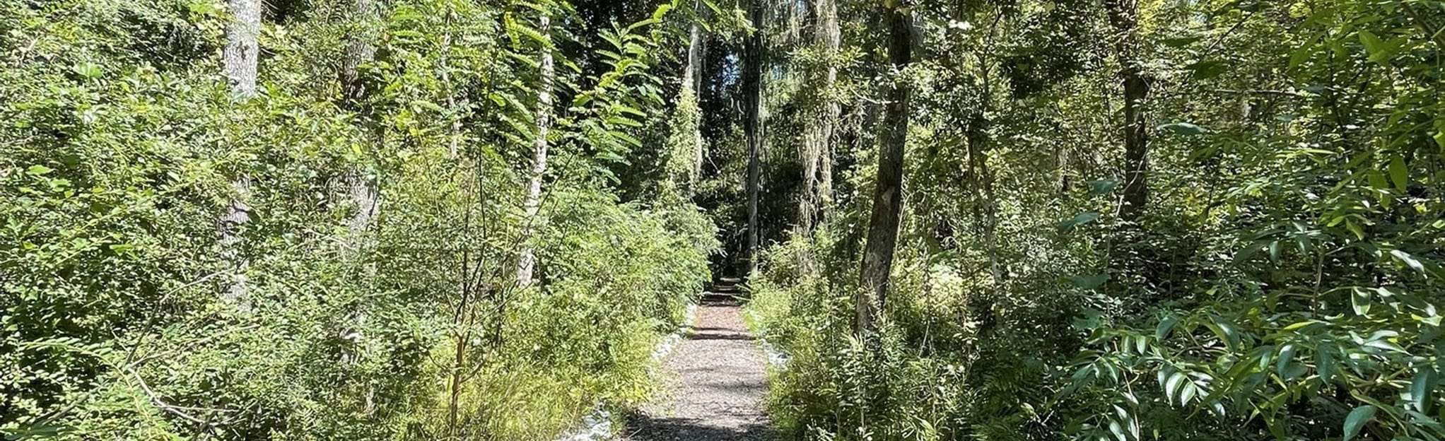AllTrails | Banks Lake Trail: 6 Reviews, Map - Georgia