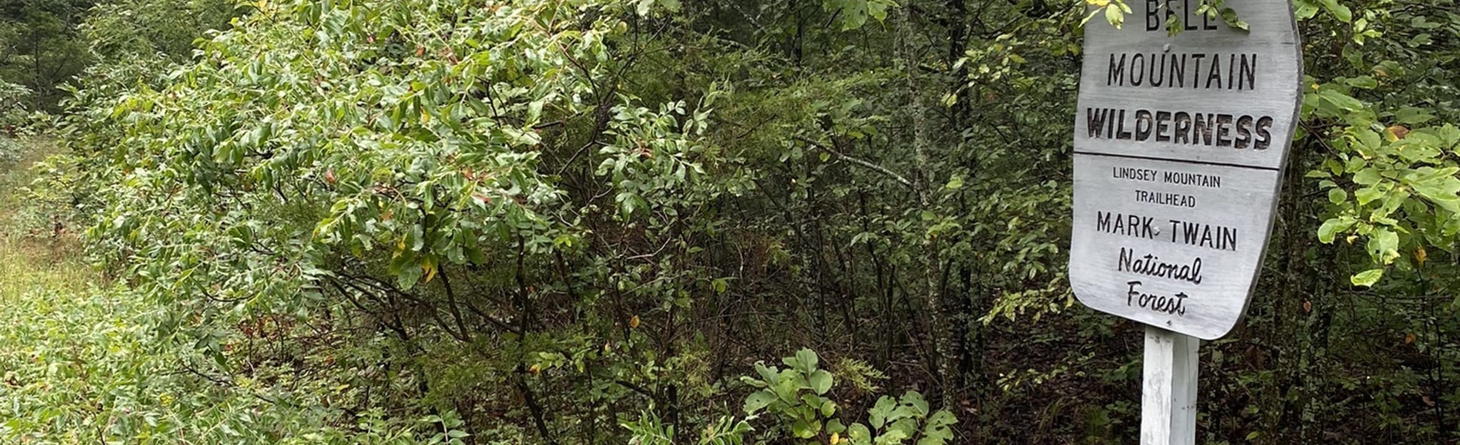 Lindsey Mountain Trail: 14 Reviews, Map - Missouri | AllTrails