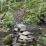 Paine Mountain, Vermont - 140 Reviews, Map | AllTrails