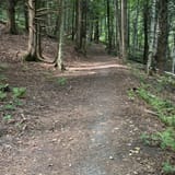 Paine Mountain, Vermont - 140 Reviews, Map | AllTrails