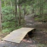 Paine Mountain, Vermont - 140 Reviews, Map | AllTrails