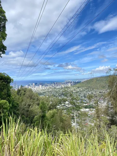 Best Hikes and Trails in Wa'ahila Ridge State Recreation Area | AllTrails