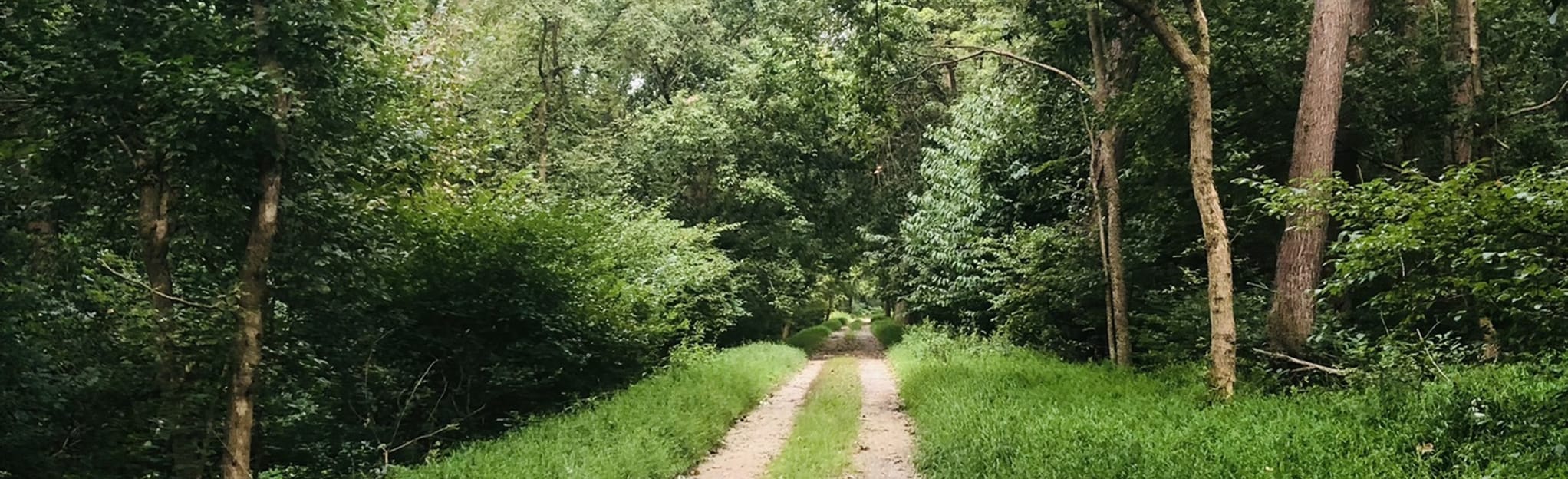 C & O Canal Towpath Trail: Williamsport to Orleans Cross Roads: 307 ...