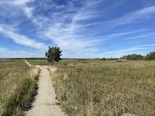 10 Best Trails and Hikes in Calgary | AllTrails