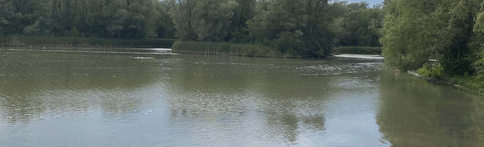 Toogood Pond Loop: 423 Reviews, Map - Ontario, Canada | AllTrails