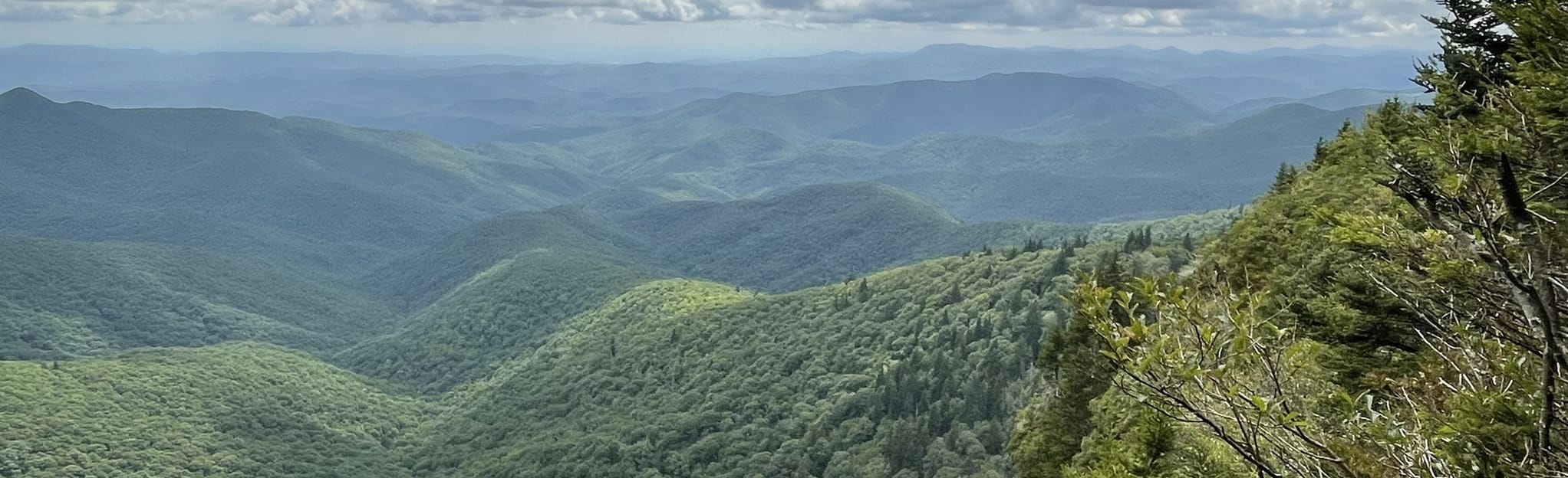 Silvermine Bald, North Carolina - 43 Reviews, Map | AllTrails