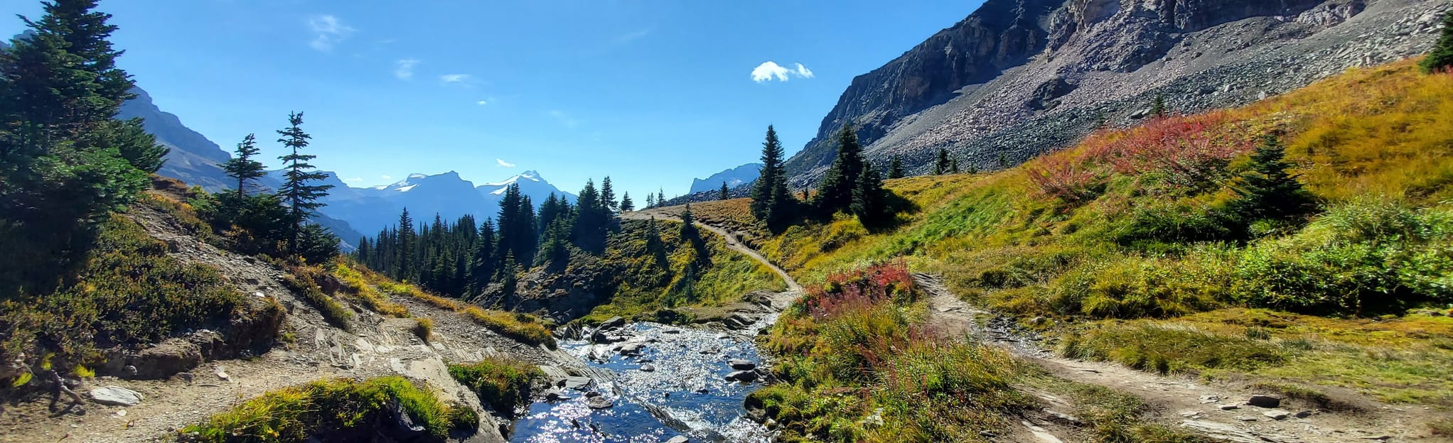 Helen Lake Trail: 813 Reviews, Map - Alberta, Canada | AllTrails