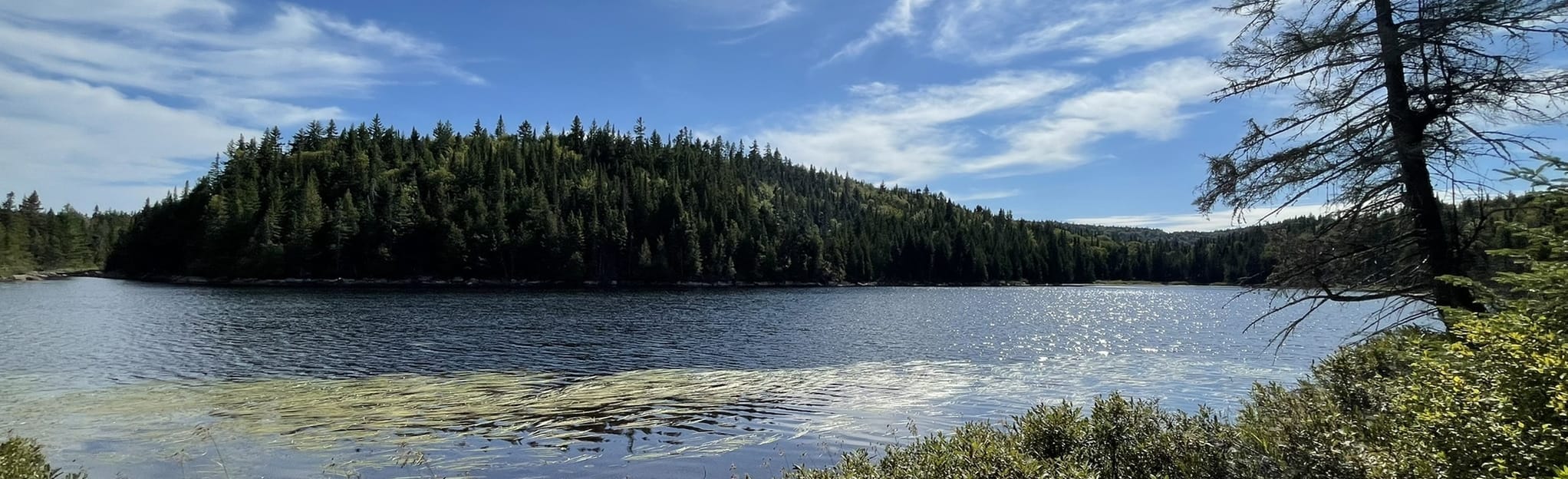 Lake Jérôme Trail, 79 Fotos - Quebec, Canadá | AllTrails