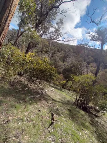 Best Hikes and Trails in Meredith Education Area | AllTrails