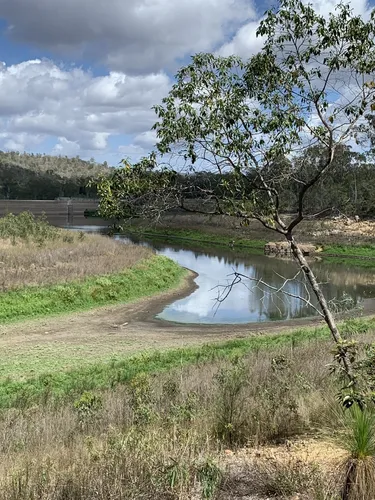 Best Hikes and Trails in Mount Morgan | AllTrails