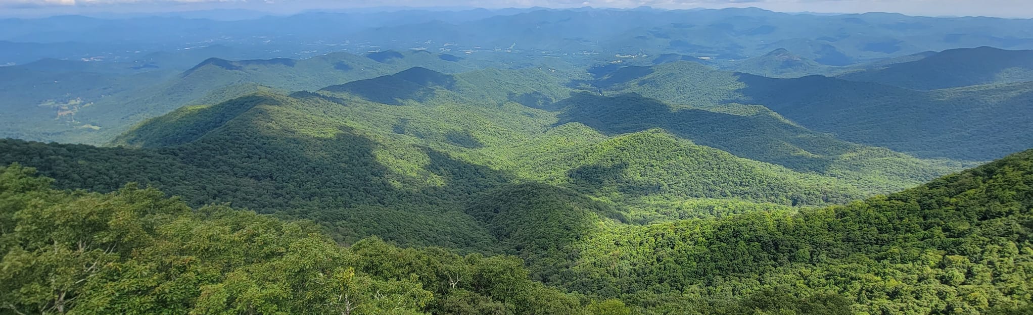 Albert Mountain Summit via Bear Pen Trail: 35 Reviews, Map - North ...