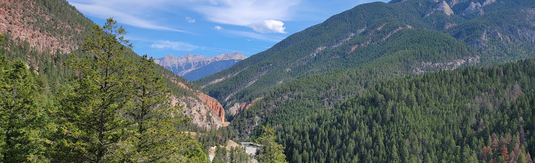 Juniper - Sinclair Canyon, British Columbia, Canada - 579 Reviews, Map ...