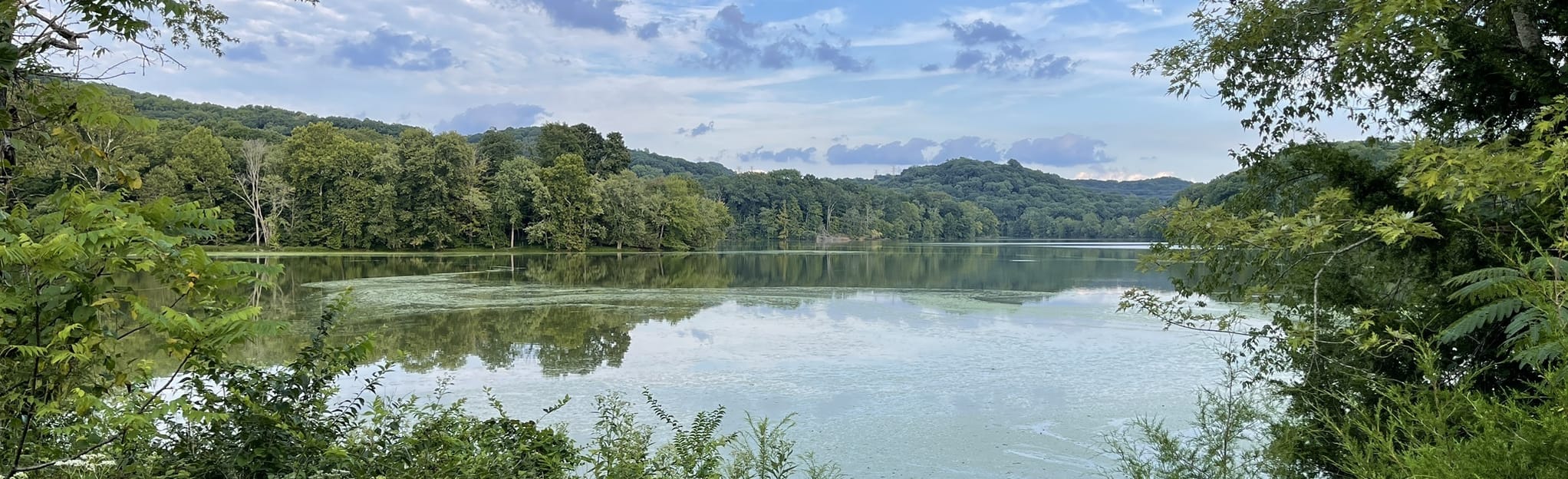 Radnor Lake and South Cove Loop: 297 Reviews, Map - Tennessee | AllTrails