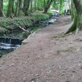 Tehidy Wood Circular, Cornwall, England - 87 Reviews, Map | AllTrails