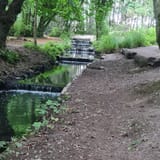 Tehidy Wood Circular, Cornwall, England - 87 Reviews, Map | AllTrails