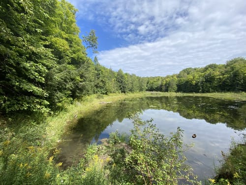 2023 Best Lake Trails in Pretty River Valley Provincial Park | AllTrails