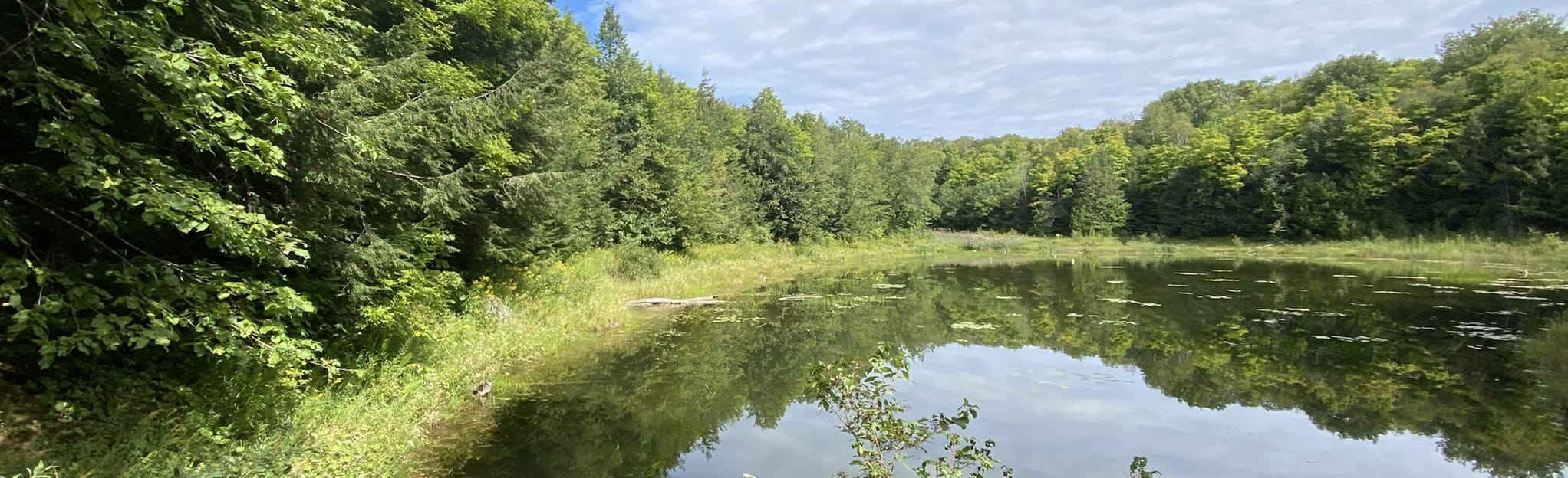 Pretty River South Loop, Ontario, Canada - 36 Reviews, Map | AllTrails