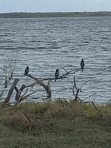 Best Hikes and Trails in Table Bay Nature Reserve | AllTrails