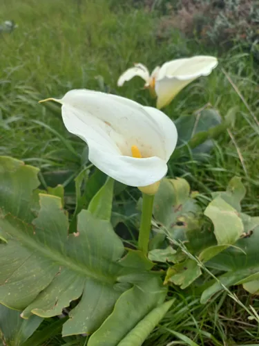 Best Hikes and Trails in Table Bay Nature Reserve | AllTrails