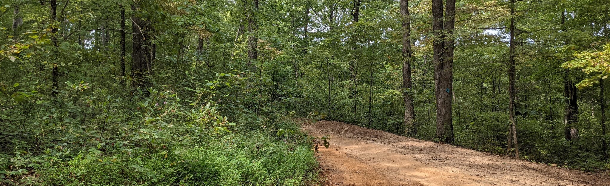 Mill Creek OHV Trail Loop: 94 Reviews, Map - Arkansas | AllTrails