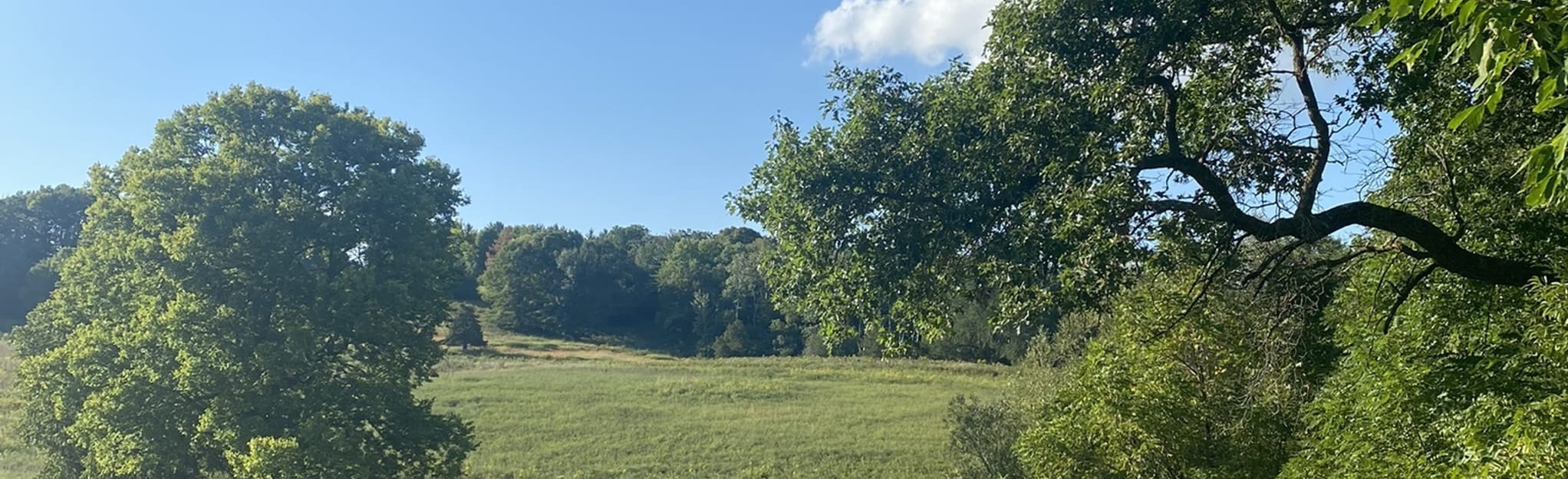 Root River Main Loop, Minnesota - 133 Reviews, Map | AllTrails