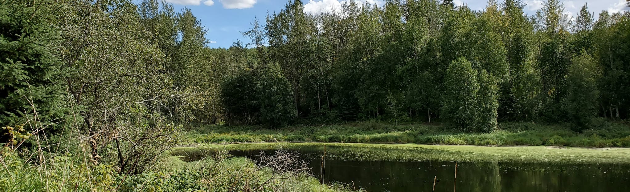 Chickakoo Lake Indian Ridge East and Dog Leg Pond Loop: 312 Reviews ...