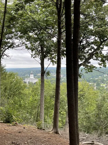 Best Hikes and Trails in Howard Hill Conservation Area | AllTrails