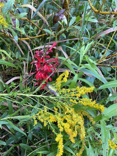 Best Hikes and Trails in Teichner Preserve | AllTrails