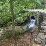 Manitou Point Preserve Trail, New York - 282 Reviews, Map | AllTrails