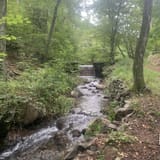Manitou Point Preserve Trail, New York - 282 Reviews, Map | AllTrails