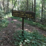 Pinhoti Trail, Alabama - 56 Reviews, Map | AllTrails