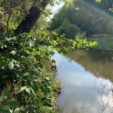 Bootleg Access Trail, Missouri - 72 Reviews, Map | AllTrails