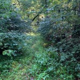Bootleg Access Trail, Missouri - 72 Reviews, Map | AllTrails