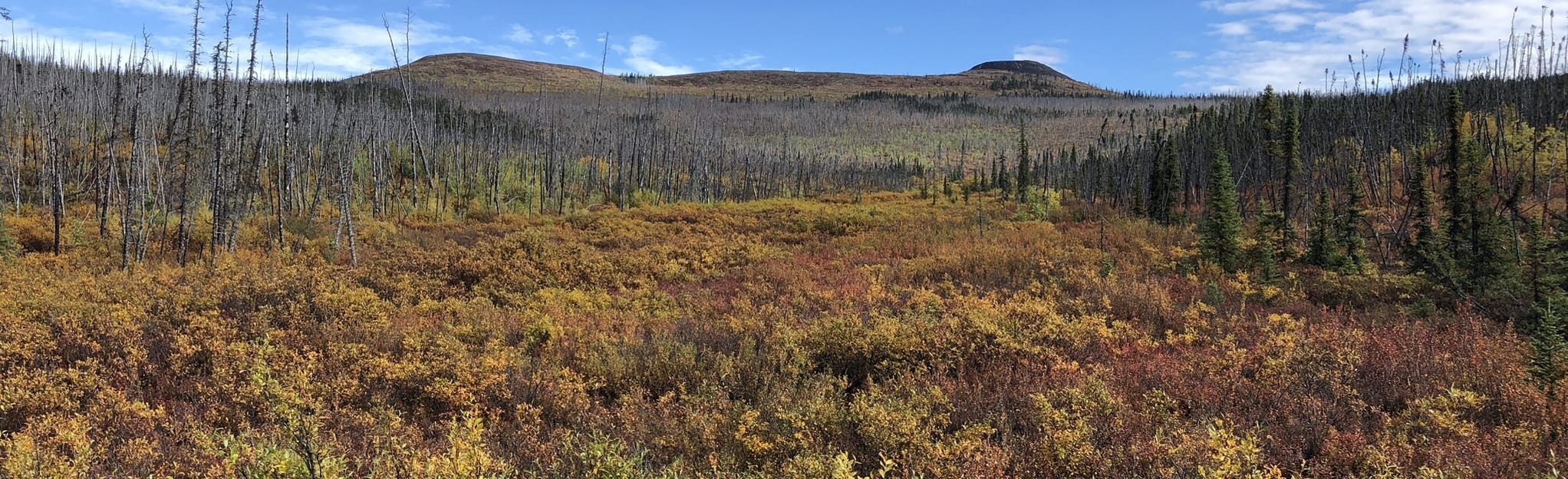 Table Top Mountain , Alaska - 85 Reviews, Map | AllTrails
