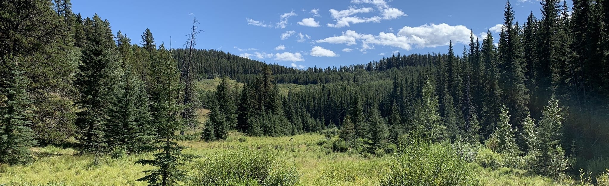 Iron Springs Trail and Boundary Ridge Loop, Alberta, Canada - 59 ...