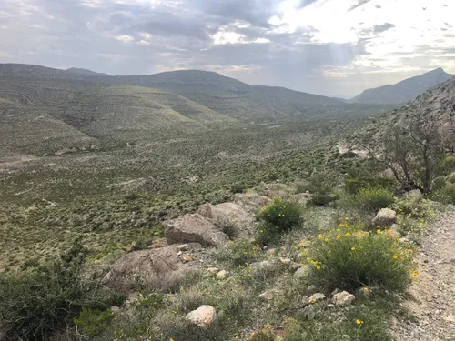 Los 10 mejores senderos y rutas en Juárez | AllTrails