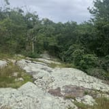 Diamond Hill Mountain Bike Trail, Rhode Island - 321 Reviews, Map ...