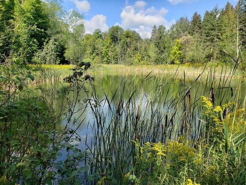 2023 Best Kid Friendly Trails in Mountsberg Conservation Area | AllTrails