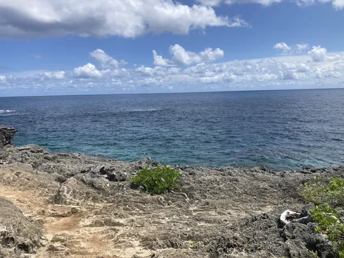 10 Best Trails and Hikes in Bermuda | AllTrails