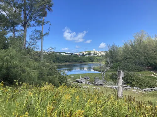 Best Hikes and Trails in Spittal Pond Nature Preserve | AllTrails