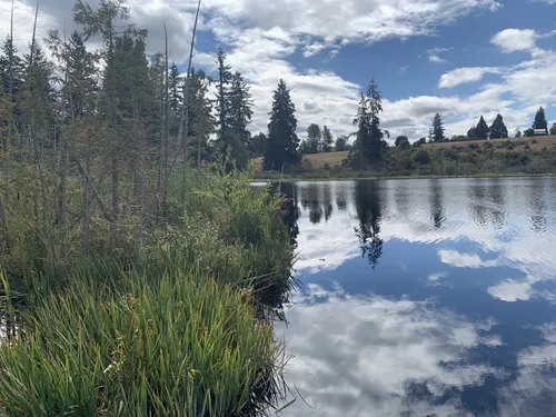 10 Best Trails and Hikes in Kent | AllTrails