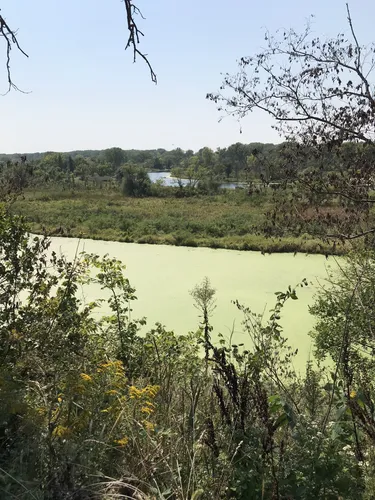 Best Hikes and Trails in Dead Timber State Recreation Area | AllTrails