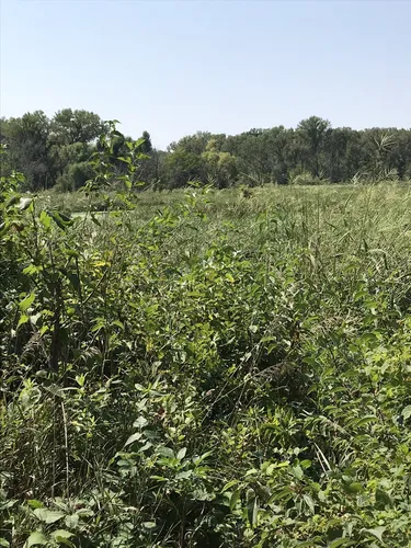 Best Hikes and Trails in Dead Timber State Recreation Area | AllTrails
