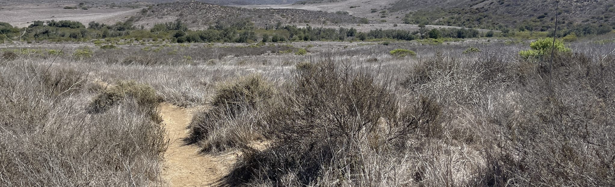 La Jolla Valley via Chumash Trail - California | AllTrails