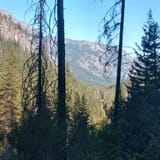 Agnes Gorge Trail, Washington - 129 Reviews, Map | AllTrails