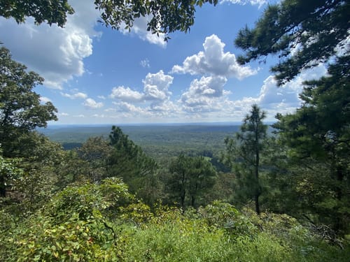 2023 Best 10 Walking Trails in Oak Mountain State Park | AllTrails