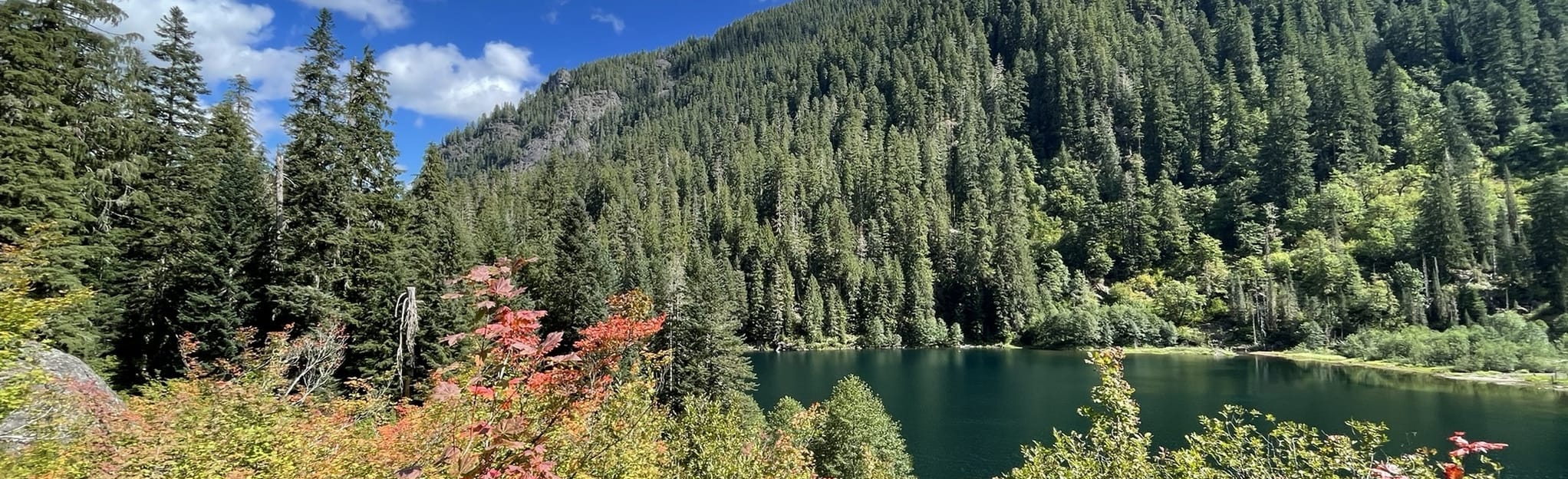 Trout Lake, Copper Lake, Lake Malachite, Washington - 295 Reviews, Map ...
