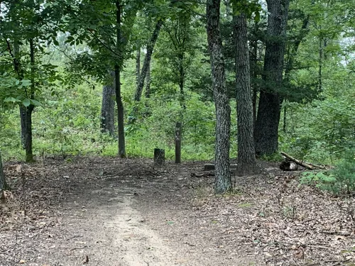 Best Hikes and Trails in Sand Ridge State Forest | AllTrails